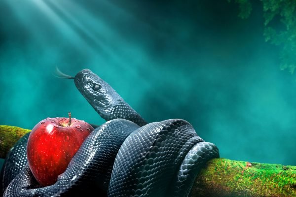 Soul Eternity - The Latest Spirituality News - Soul Eternity